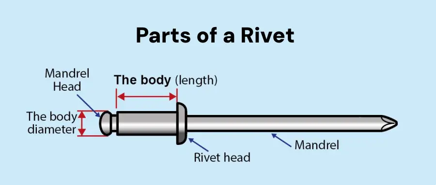 Types of Rivets: A Guide to Rivet Types and Common Uses